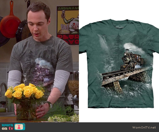 WornOnTV: Sheldon’s train graphic tee on The Big Bang Theory | Jim ...